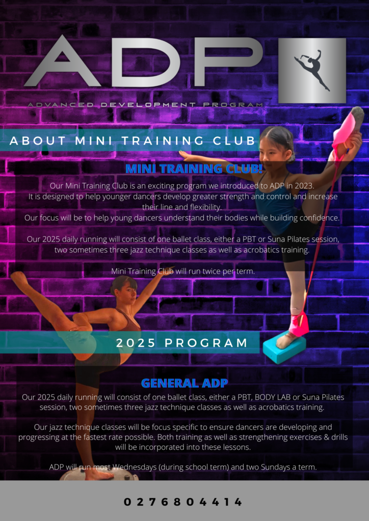 Advanced Development Program – Northern School of Performing Arts